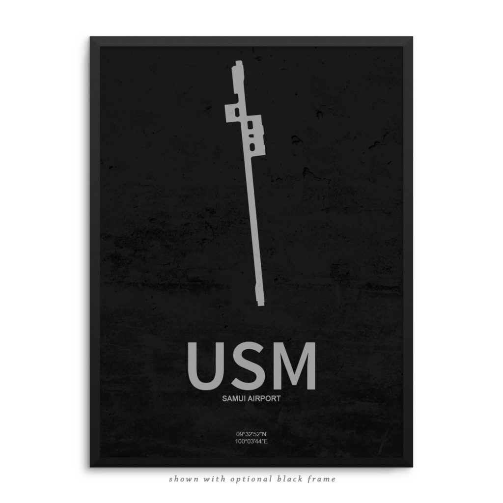 USM Airport Poster – Airport Decor