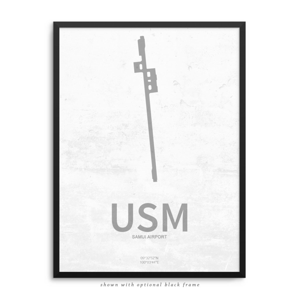 USM Airport Poster – Airport Decor